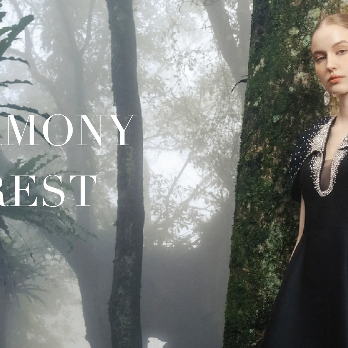 The Harmony Of Forest – TRACY COUTURE